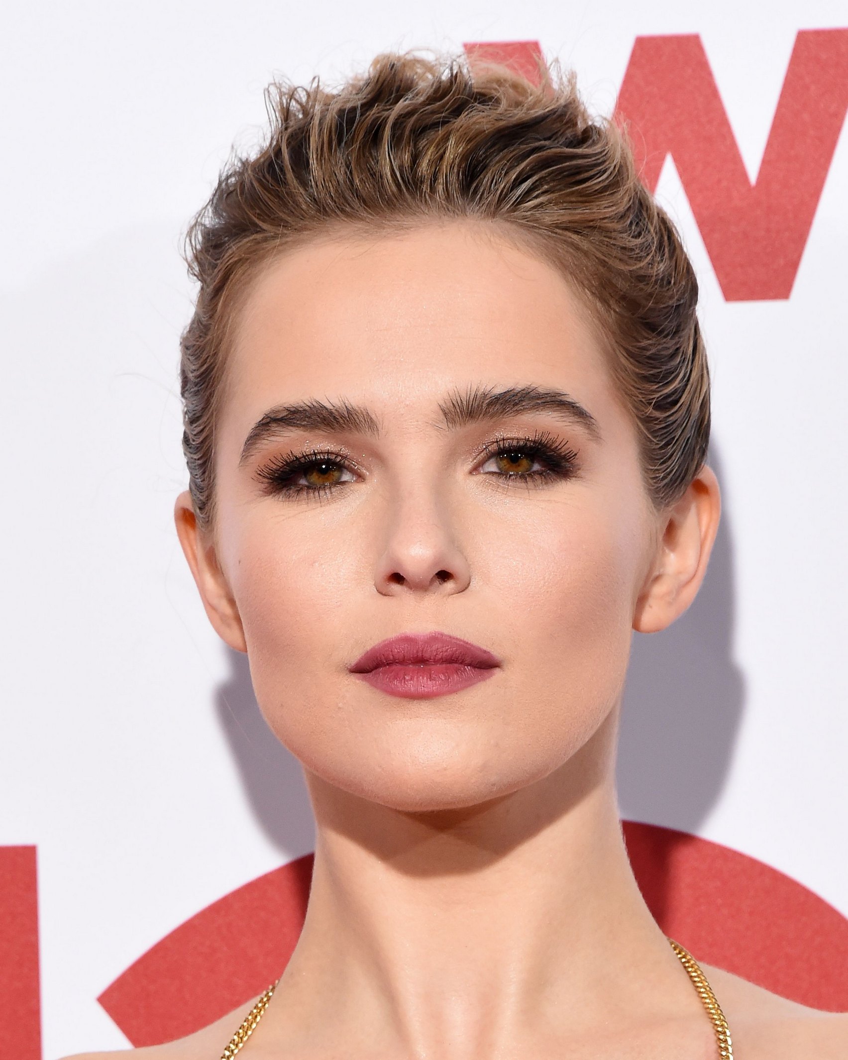 December 17: "Why Him" Los Angeles Premiere - 0114 - Adoring Zoey ...